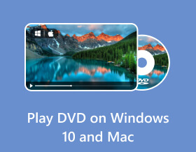 8 Ways to Play DVD Movies on Windows 10/11 PC & macOS