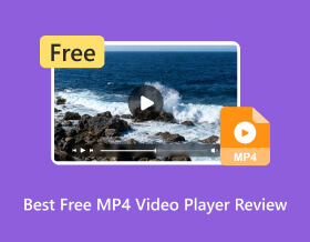 Top 20 Free MP4 Players on Windows 11/10/8 and MacOS