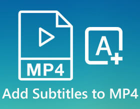终极教程 – 免费为 MP4 视频文件添加字幕
