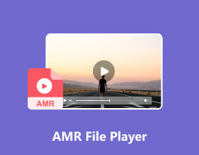 4 Remarkable AMR File Players: Open AMR Audio Smoothly
