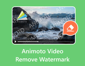 Workable Ways How to Remove Animoto Watermarks from Video