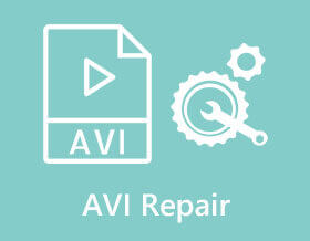 在 PC 和 Mac 上修复损坏的 AVI 视频文件的 3 种简便方法