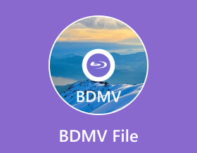 BDMV File: What is It and How to Watch It [2025 Guide]