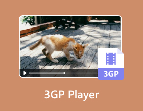 Top Reliable 3GP Players for PC and Mobile Devices