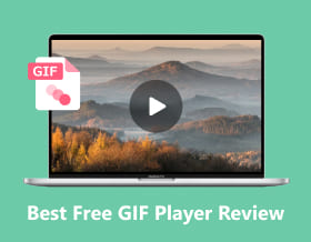 5 Top-Leading GIF Players Suitable for Windows and Mac