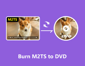 PC/Mac で M2TS を DVD に書き込むための究極ガイド