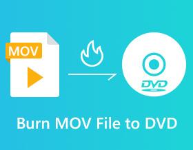 [GRATIS] Los 5 mejores creadores de DVD: grabe archivos MOV en DVD ...