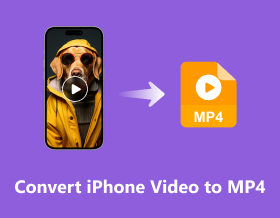 将 iPhone 视频转换为 MP4 的 3 种简便方法