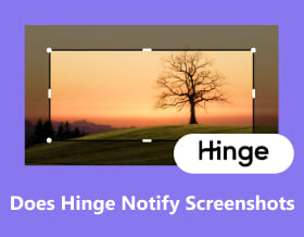 Does Hinge Notify Screenshots: Find A Legitimate Answer