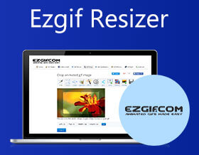 Learn How EzGIF Resizes Video Online and Offline [Windows]