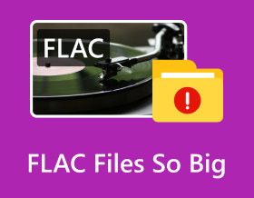 为什么 FLAC 文件这么大：如何完美压缩它们