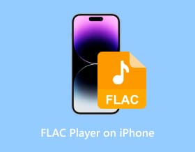 适用于 iPhone 的 5 款最佳 FLAC 播放器 [完整评论]