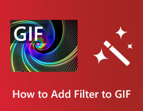 Las mejores formas de agregar filtros a GIF con pasos detallados