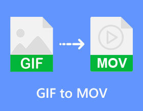 Top 5 Ways to Convert GIFs to MOV Videos on Desktop and Online
