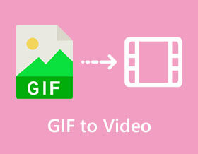 Find Out the Three Trusted Ways to Transform GIF to Video
