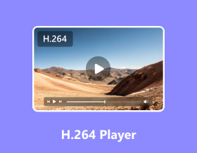 不容錯過的 5 個精選 H.264 播放器