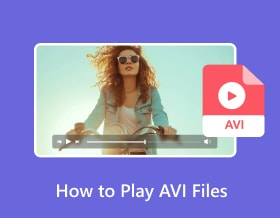 So spielen Sie AVI-Dateien auf Windows und Mac auf 3 geeignete Arten ab