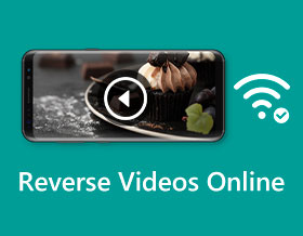 Top 3 Ways to Reverse a Video Online with Full Steps