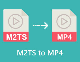 Windows と Mac で M2TS を MP4 に変換する 5 つの方法
