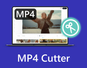Best 10 MP4 Trimmers and Editors for Desktop/Online