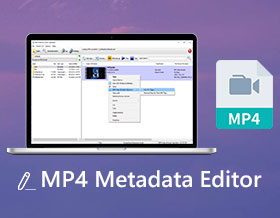 适用于 Mac、Windows 和 Linux 的 3 款最佳 MP4 元数据编辑器