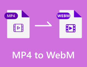 How to Convert MP4 to WebM: 5 Converters for Windows/Mac