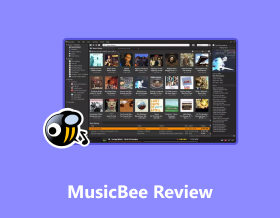 Revisión de MusicBee: reproductor de audio gratuito para PC con Windows
