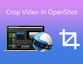 OpenShot Crop Video in 2 Methods Quickly [Complete Guide]