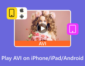 如何在 iPhone、iPad 和 Android 设备上播放 AVI 文件：2026 年指南
