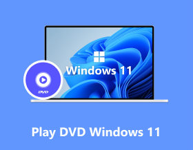 So spielen Sie DVDs unter Windows 11 ab (inkl. Software und Hardware)
