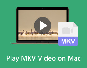 在 Mac 上播放 MKV：如何实现流畅播放