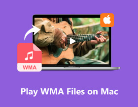 如何在 Mac 上播放 WMA 文件的出色方法