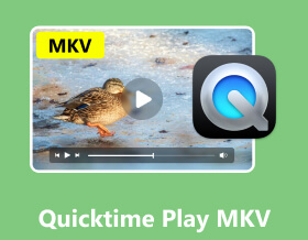 使用 QuickTime Player 播放 MKV 的有效解决方案
