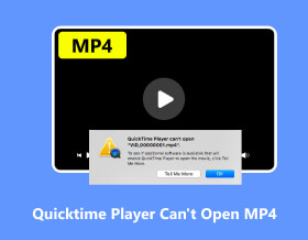 Why QuickTime Can’t Play MP4 Files [Reasons and Solutions]