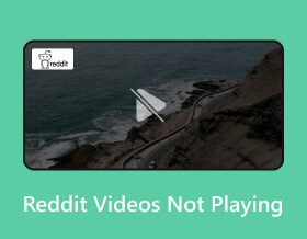 Reddit Videos Not Playing: How to Fix with Complete Guide