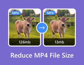 How to Compress MP4 - 2 Quickest Methods to Reduce MP4 File Size