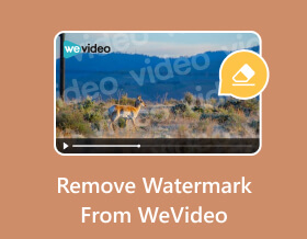 Unvergleichliche Methoden zum Entfernen von WeVideo-Wasserzeichen
