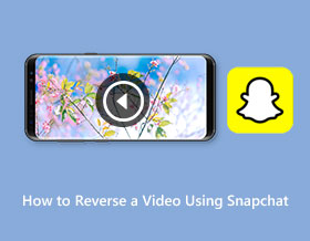 如何使用 Snapchat 反转视频 [详细步骤]