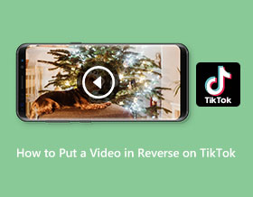 How to Reverse a Video for TikTok with Ultimate Guides