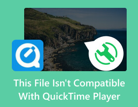 Este archivo no es compatible con QuickTime Player [resuelto]