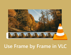 如何在 VLC 中逐帧播放视频 [完整指南]