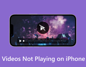 How to Fix Videos Not Playing on iPhone [Best Solutions]