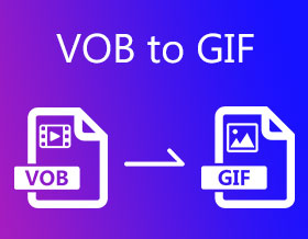 Know the 3 Easy Methods on How to Turn VOB File into GIF
