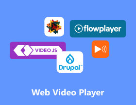Die 5 besten Webvideoplayer für ein besseres Seherlebnis [2025]