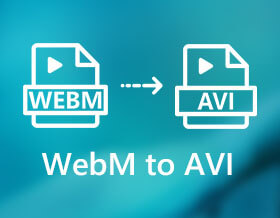 WEBM ビデオを AVI 形式に変換する方法 | 無料 & 透かしなし