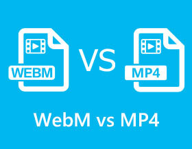 What Are the Differences between WebM and MP4 Video File Formats