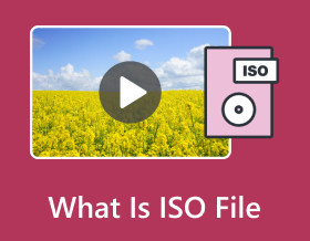 What is ISO as a DVD Format and How to Play It