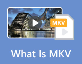 什么是 MKV 以及如何打开和转换它以方便使用