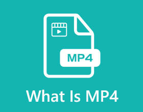 什么是 MP4：MP4 的特点、优点、缺点和用途