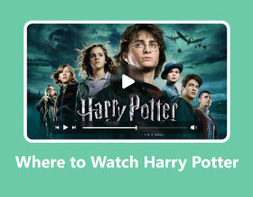 Where to Watch Harry Potter and How to Watch Effectively
